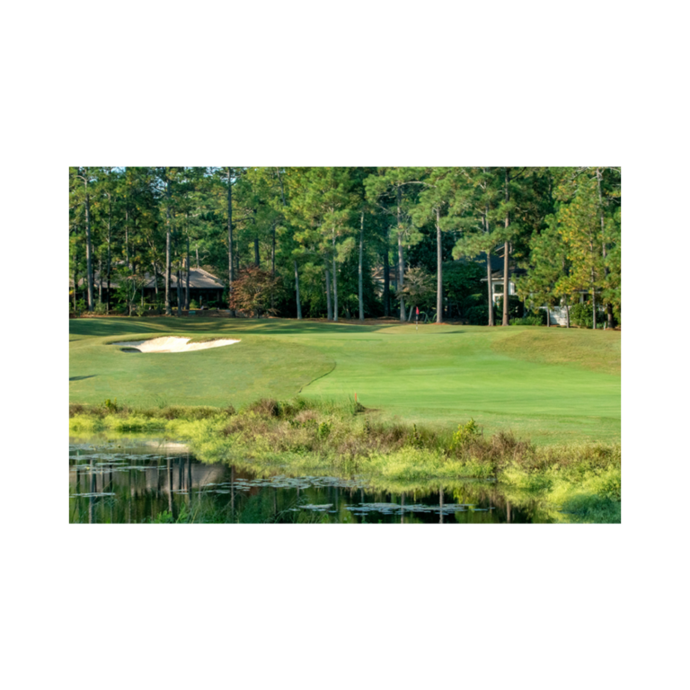 Facility Spotlight: Pinehurst No. 6 - First Tee - Sandhills